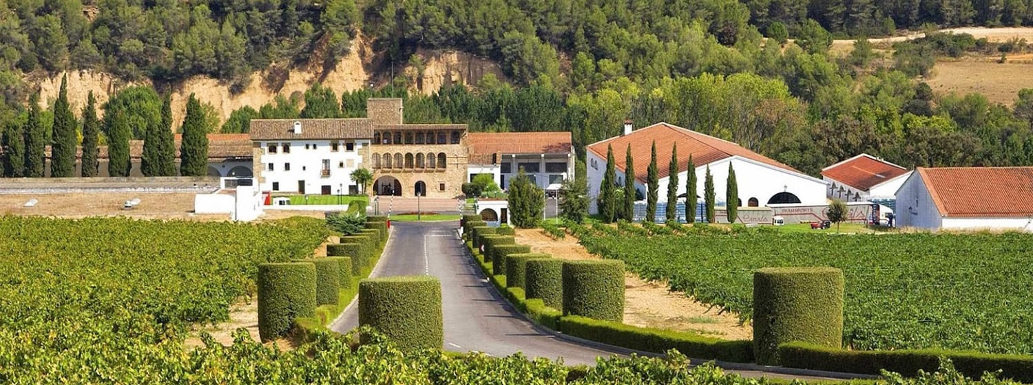 Penedès & The Vineyards - Drive Me Barcelona